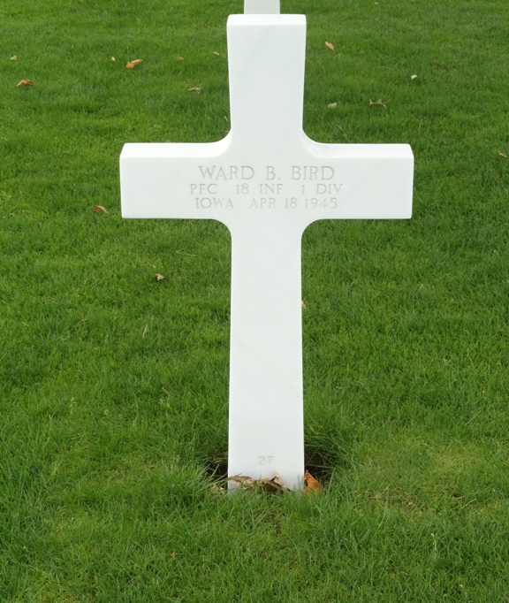 Bird Ward B.