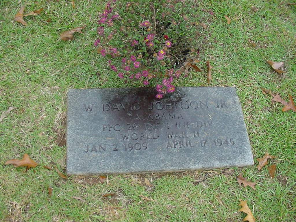 Johnson William David, Jr.