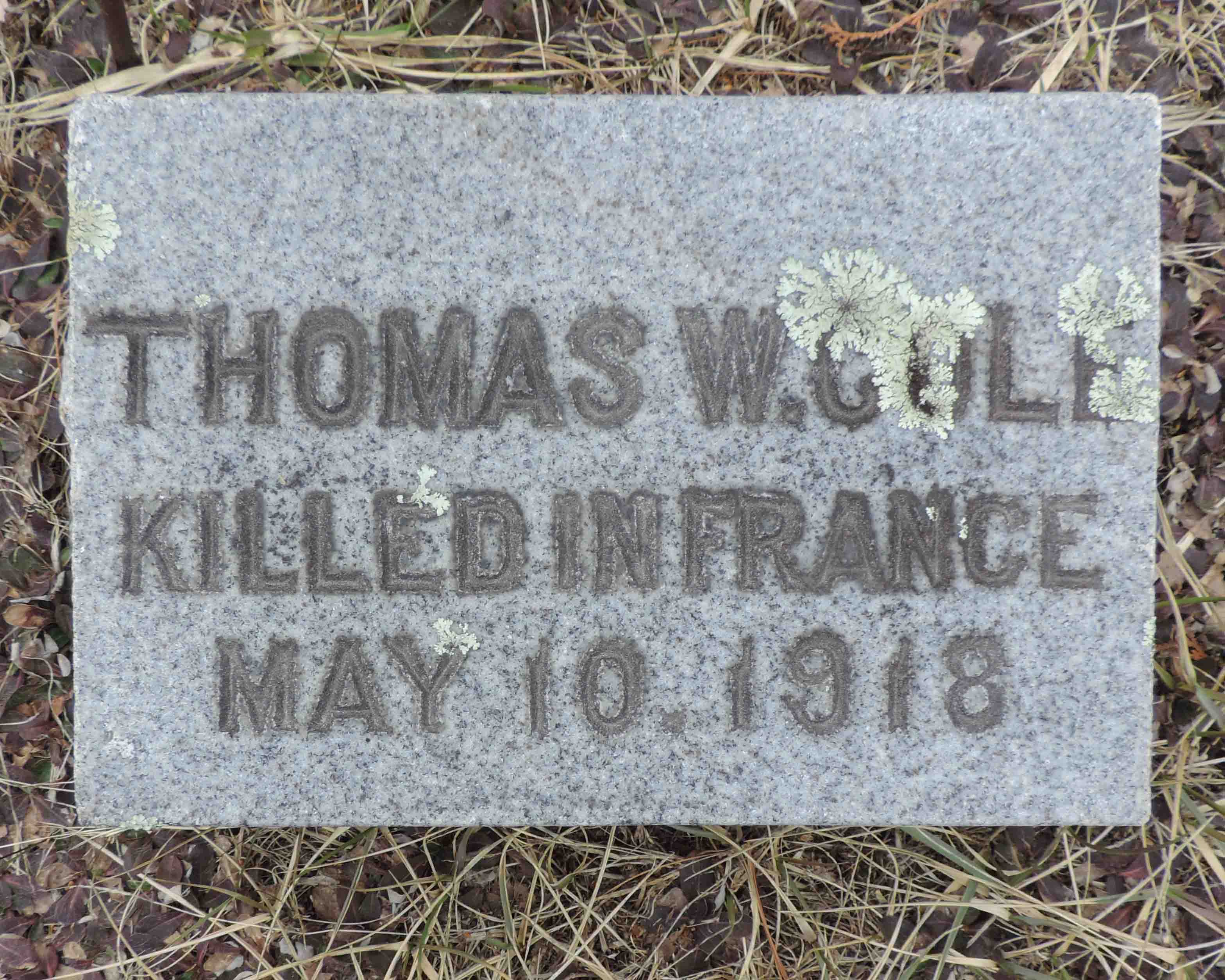 Cole Thomas Winfield