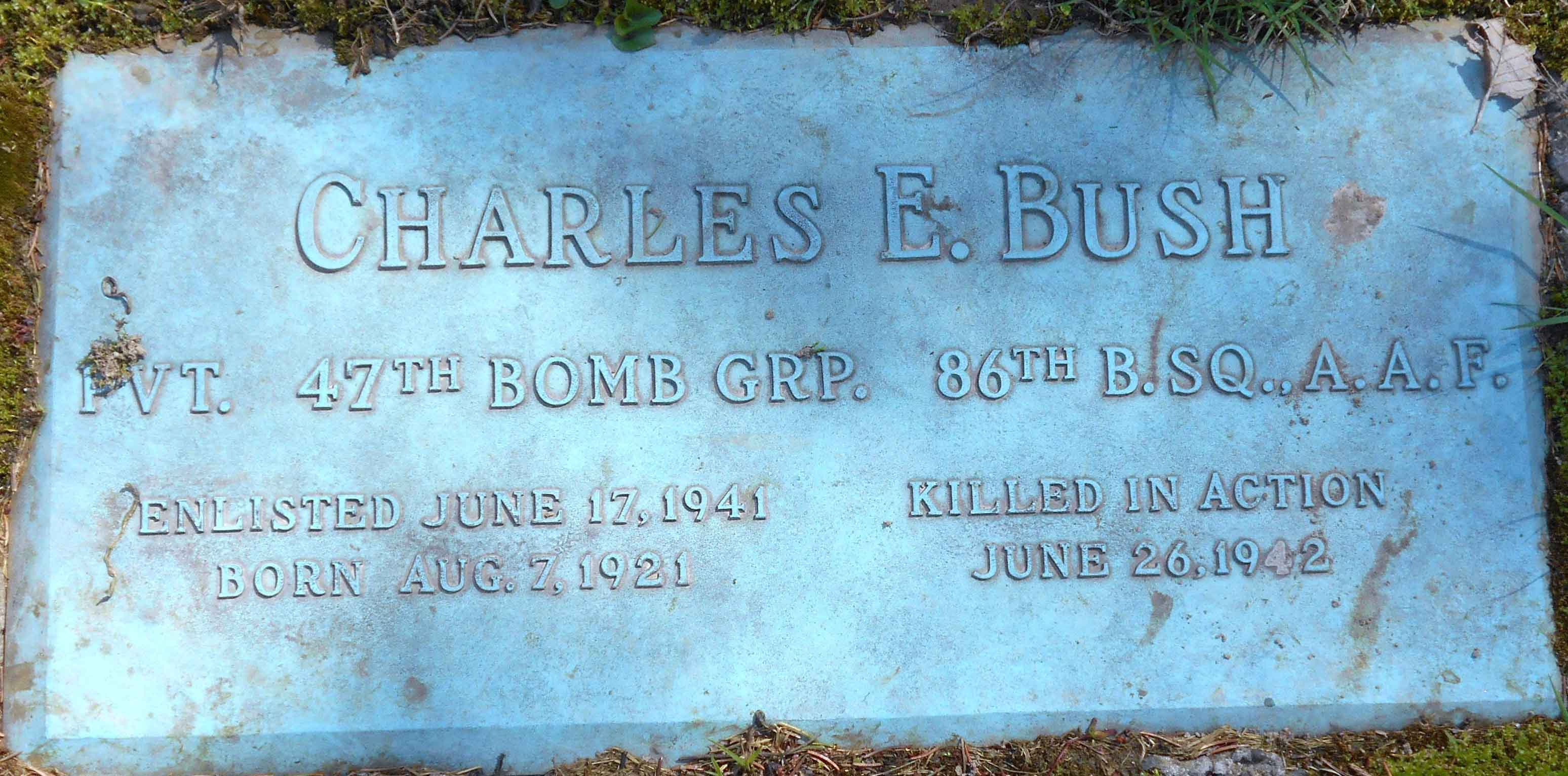 Bush Charles Ellsworth