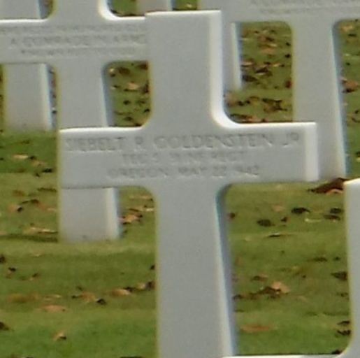 Goldenstein Siebelt Ralph, Jr.